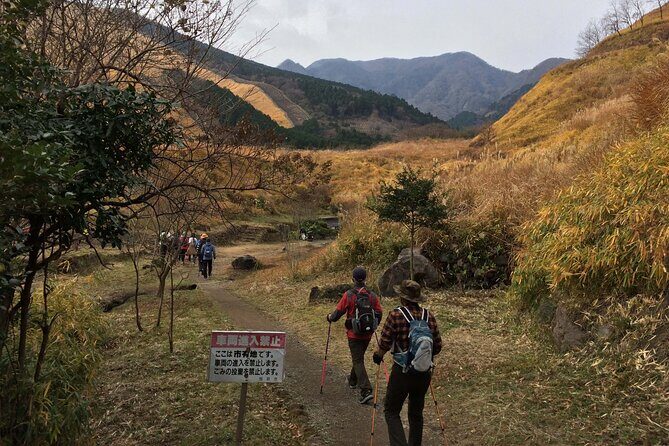 Kannawa Jigoku District Park Nordic Walking Tour - The Experience in Detail: What to Expect
