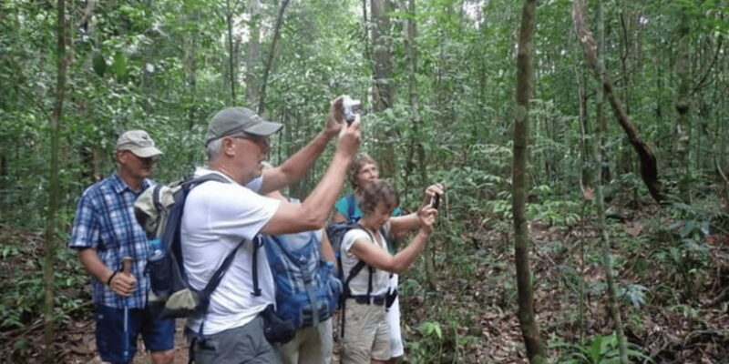 "Kanneliya Forest Discovery: Guided Nature Expedition" - Key Points
