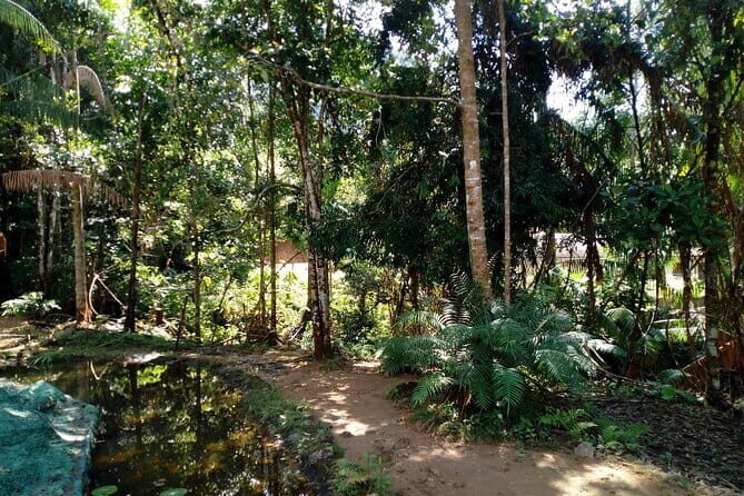 Kanneliya Rain Forest Tour - Final Thoughts