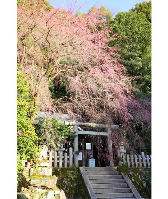 Kansai 10-hour chartered day tripKyoto - Value and Practicalities