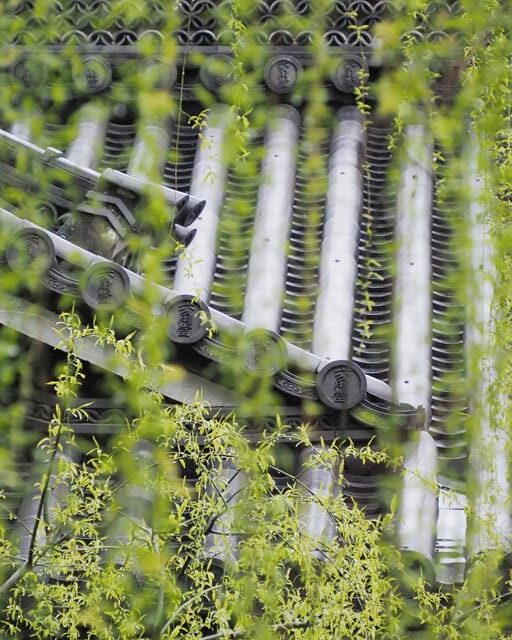 Kansai 10-hour chartered day tripKyoto - FAQ