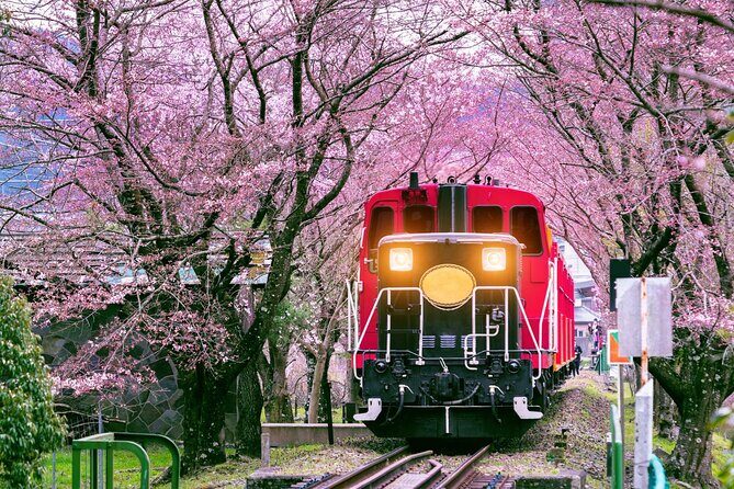 Kansai Day Trip Nara Deer, Torii Gates and Arashiyama - Starting Point: Nippombashi Station at 8:00 AM