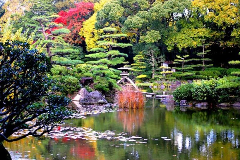 Kansai Garden Day Trip with Tea Ceremony - Key Points