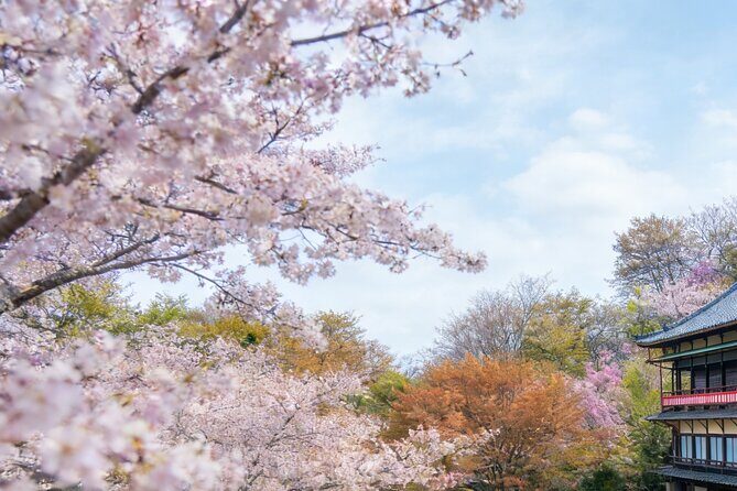 Kansai Hidden Cherry Blossom Gems Seasonal Exclusive Day Trip - Frequently Asked Questions