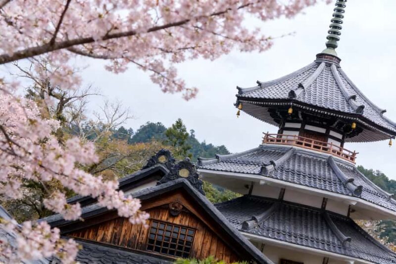 Kansai Hidden Cherry Blossom Tour: Seasonal One-Day Escape - Key Points