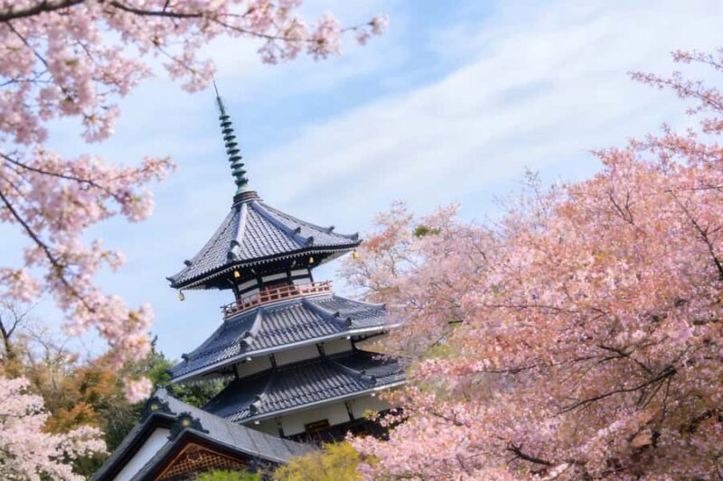 Kansai Hidden Cherry Blossom Tour: Seasonal One-Day Escape - Practical Considerations