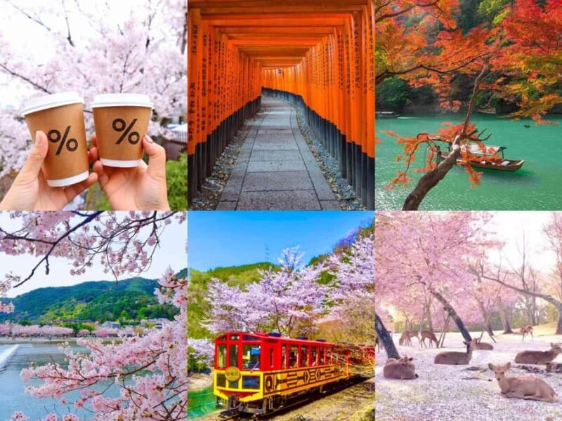 Kansai Region: Private Custom Highlights Tour with Pickup - Key Points