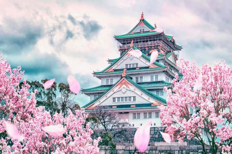 Kansai Region: Private Custom Highlights Tour with Pickup - Who Should Consider This Tour?