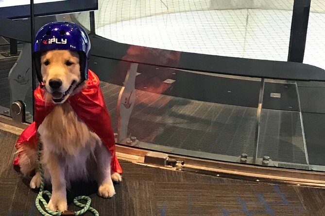 Kansas City Indoor Skydiving Admission with 2 Flights & Personalized Certificate - The Sum Up: Is It Worth It?