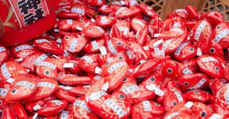 Kanto 10-hour chartered day trip Kawagoe - The Sum Up: Who Is This Kawagoe Tour Best For?