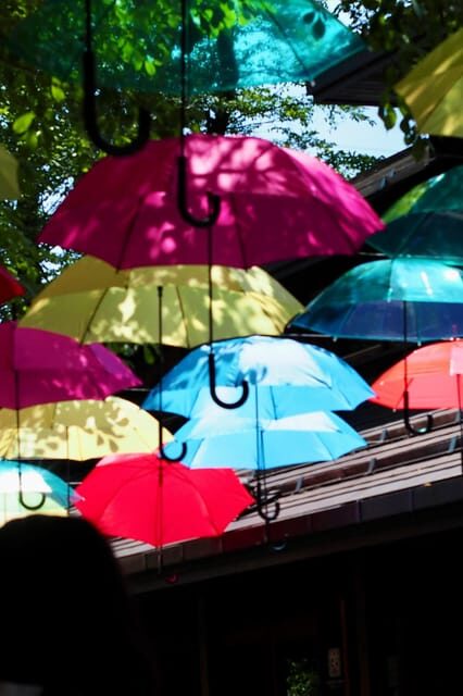 Kanto 10-hour chartered day tripKaruizawa - The Allure of the Karuizawa Day Trip