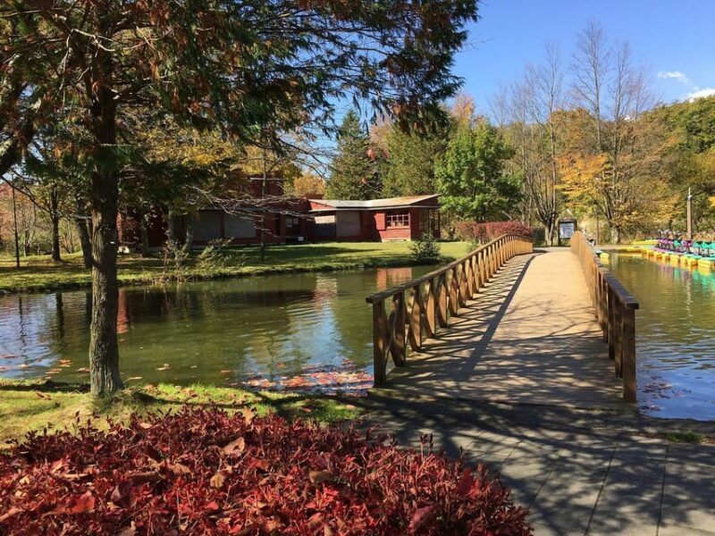 Kanto 10-hour chartered day tripKaruizawa - Traveling with Comfort and Ease