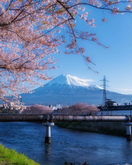 Kanto 10-hour chartered day tripMt. Fuji Day Trip - The Perfect Fit
