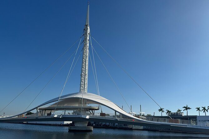 Kaohsiung City Walking and Night Market Tour - The Sum Up