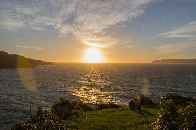 Kapiti Coast and Foxton Area Beaches Day Tour - Key Points