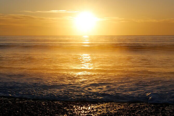 Kapiti Coast and Foxton Area Beaches Day Tour - Who Will Appreciate This Tour?