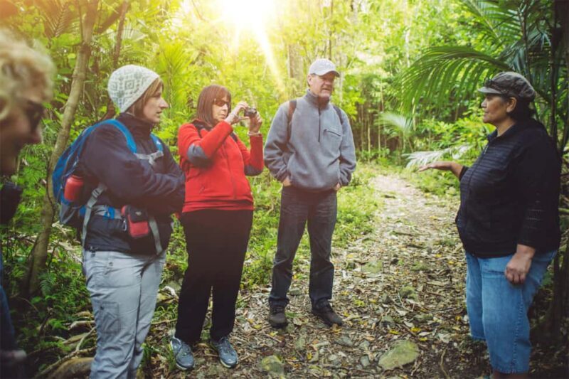 Kapiti Island: Classic Guided Day Tour - Who Should Consider This Tour?