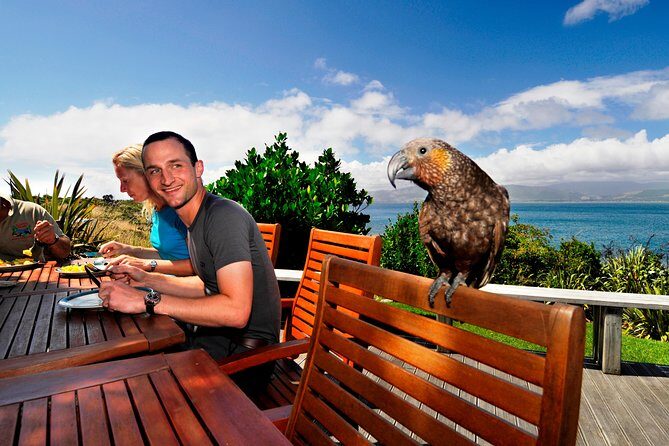 Kapiti Island Classic Guided Day Tour - Key Points