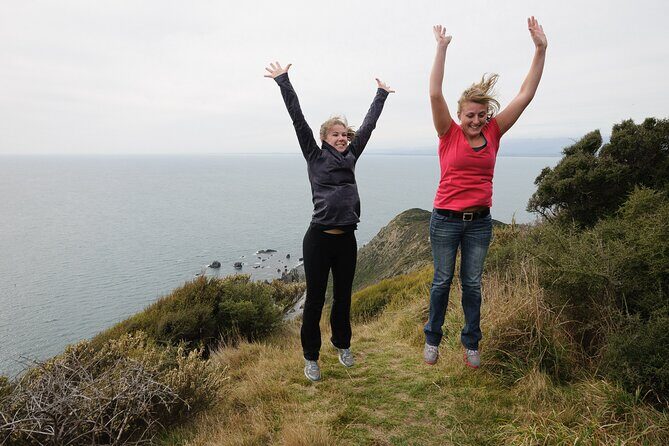 Kapiti Island Classic Guided Day Tour - Why This Tour Works Well