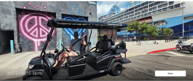 Karaoke Golf Cart City Tour  Tampa! - What Makes This Tour Special?