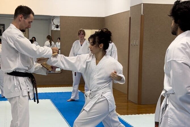 Karate Experience with the Shotokan Karate-do Instructor - Key Points
