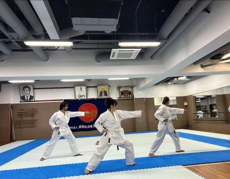 Karate Experience with the Shotokan Karate-do Instructor - Key Points