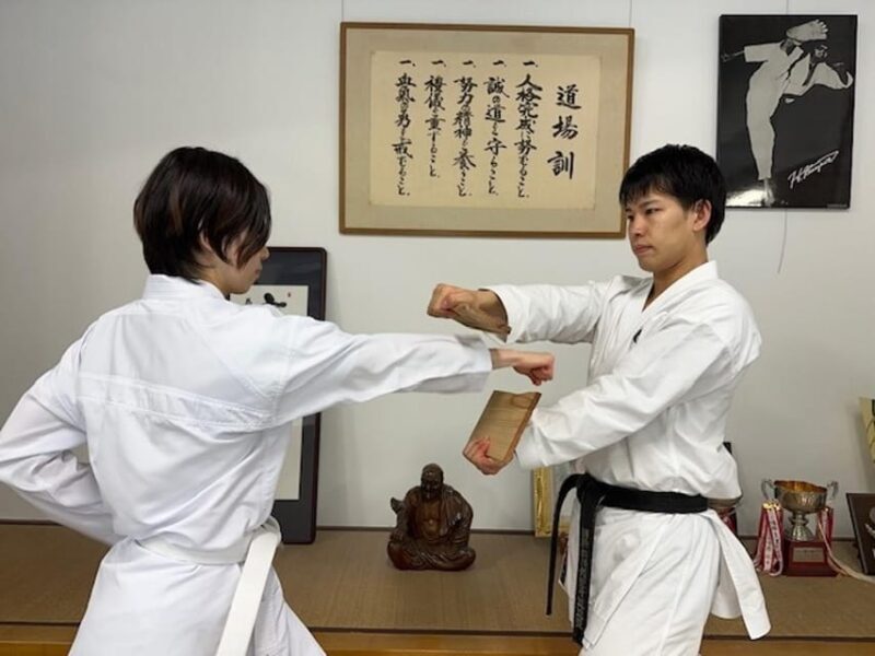 Karate Experience with the Shotokan Karate-do Instructor - Value for Money and Practical Considerations