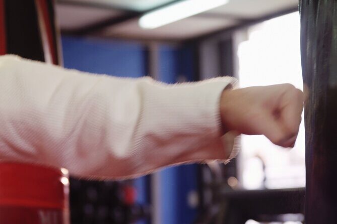 Karate in Japan Traditional Martial Art Experience - Who Should Consider This Tour?