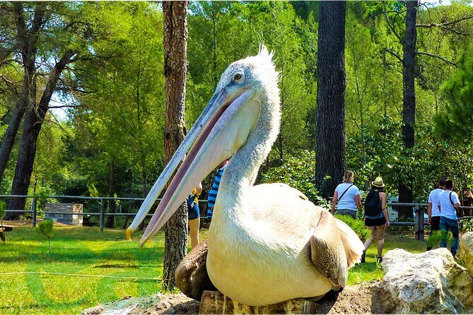 Karavasta Lagoon Adventure: Boat & Wildlife Tour from Durrës - In The Sum Up