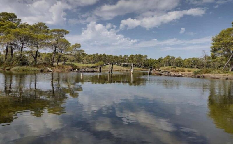 Karavasta:Bird Watching, Tower Views & Lagoon Exploration - A detailed look at the experience: What to expect
