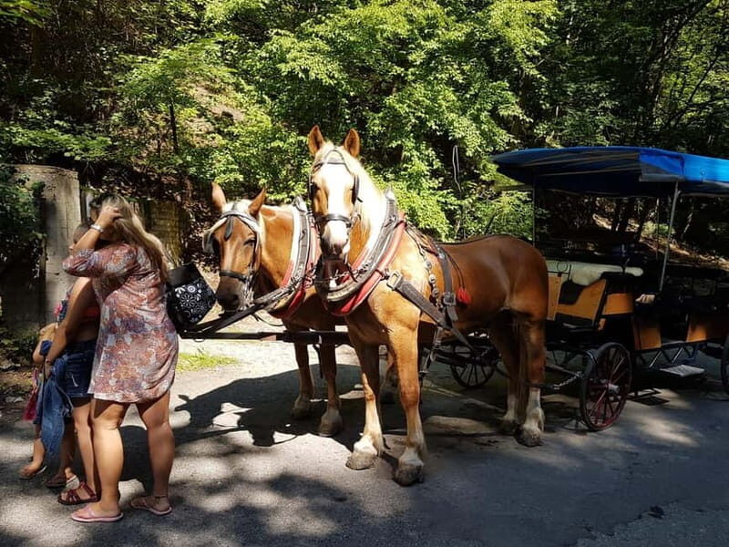 Karltejn and Big America quarry horse carriage tour - An in-Depth Look at the Tour Experience