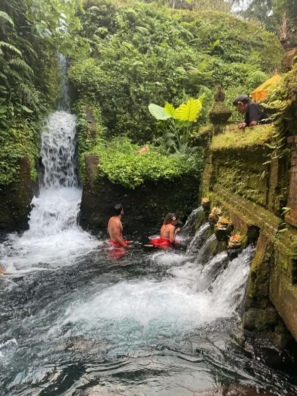 Karma and Clarity Bali Tour - An In-depth Look at the Karma and Clarity Bali Tour