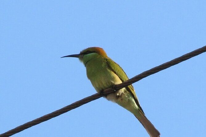 Karnala Bird Sanctuary Excursion From Mumbai - FAQs