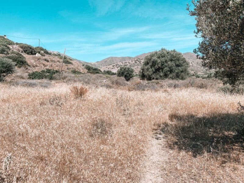 Karpathos: Easy Guided Nature and Culture Hike in Pigadia - The Experience from Visitors’ Perspectives