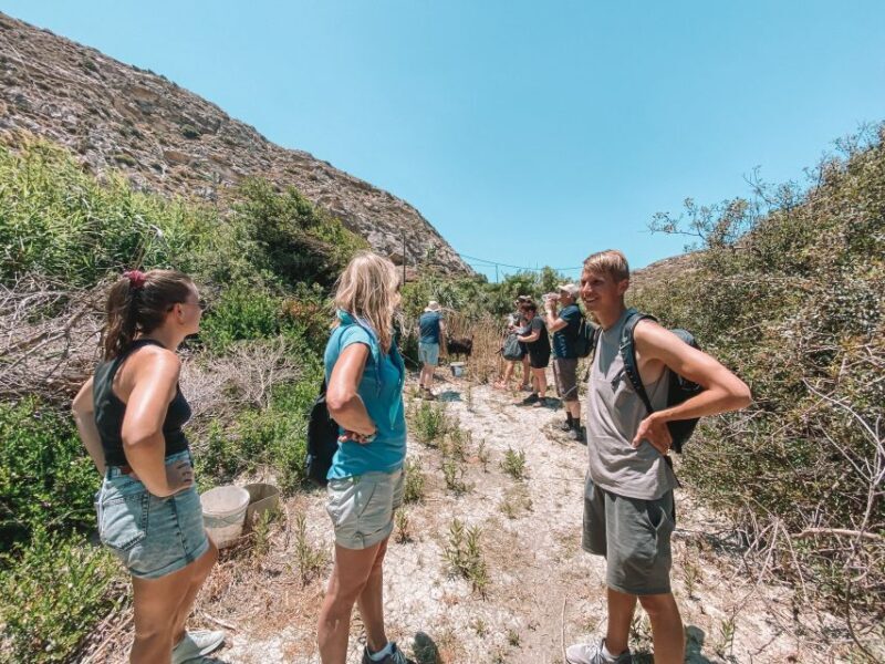 Karpathos: Easy Guided Nature and Culture Hike in Pigadia - Who Will Love This Tour?