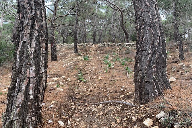 Karpathos scenic Agia Kyriaki Walk from Pigadia - Who This Tour Is Best For