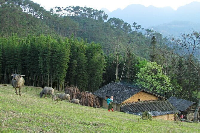 Karst Plateau Geopark Tour 4 Days and 3 Nights from Hanoi - Final Words