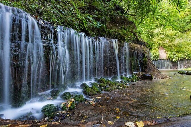 Karuizawa Half-Day Private Trip with Government-Licensed Guide - What to Expect from the Itinerary