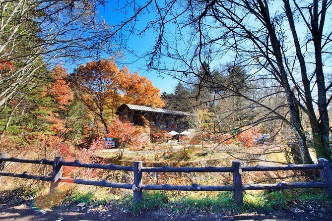 Karuizawa Private Customizable Full Day Tour - Why This Tour Might Be Perfect for You