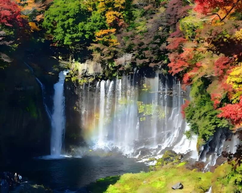Karuizawa Private Customize Day Tour - Value and Considerations