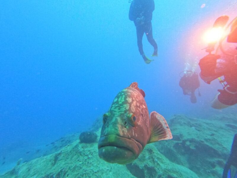 Kas: Scuba Diving Experience - FAQs
