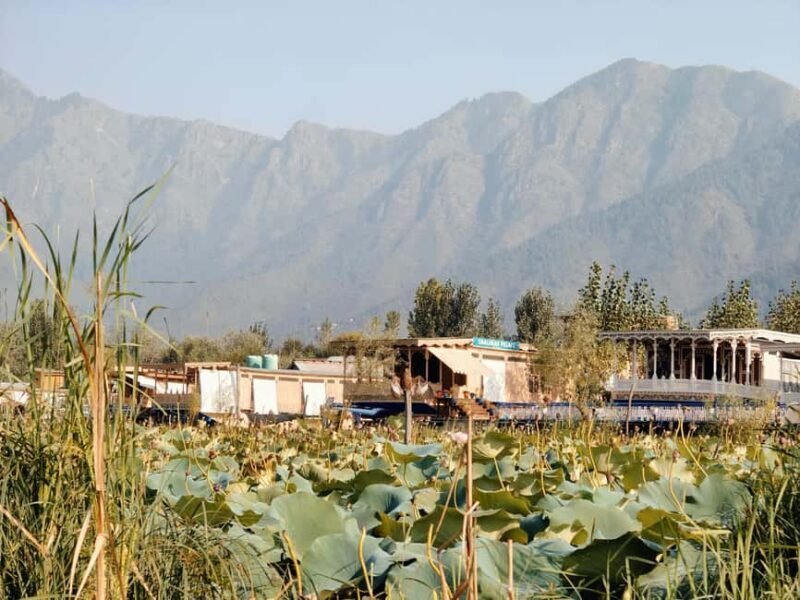 Kashmir Houseboat Tour Package for 3 Days - Introduction to the Kashmir Houseboat Experience