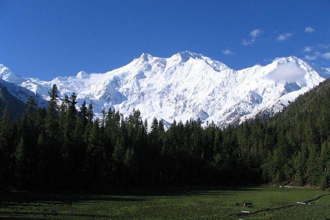 Kashmir With Delhi & Agra Northern Part of India - Overview of the Tour Experience