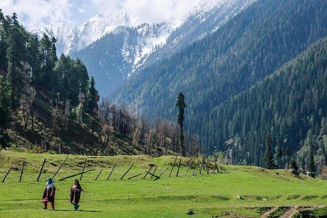 Kashmir With Delhi & Agra Northern Part of India - Transport and Logistics: Comfort in Motion