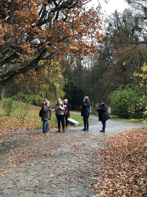 Kassel: Escape City Tour  Mysterious tour with a story - Key Points