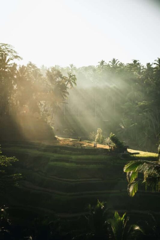 Kastala Tenganan Village Village Trekking - Final Thoughts: Is This Tour Right for You?