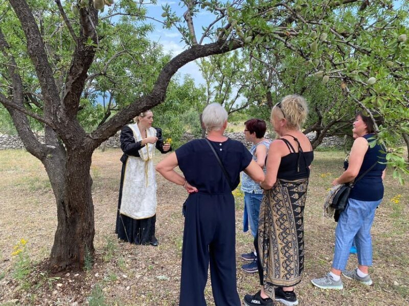 Kastela: Wine & Olive Tasting Tour w/Delicacies & Live Music - Discovering the Kastela: Wine & Olive Tasting Tour with Delicacies & Live Music
