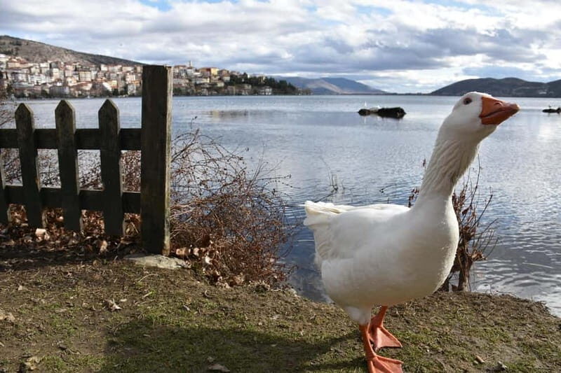 Kastoria: Private Guided City Tour - Exploring Kastoria: A Private Guided City Tour
