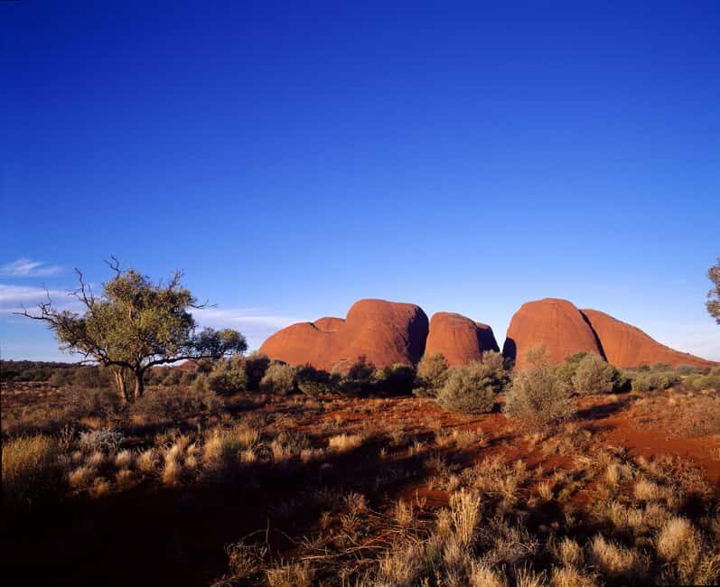 Kata Tjuta Private Guided Sunrise Tour - Key Points