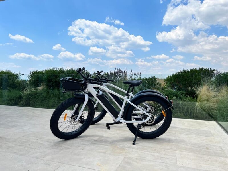 Katakolo: E-bike Rental - Who Will Enjoy This?